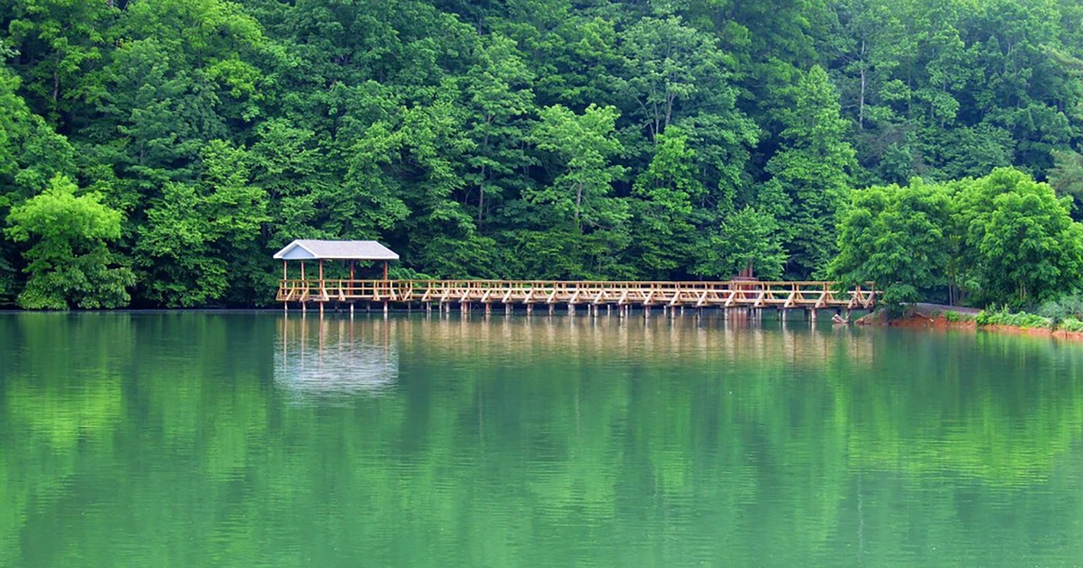 Steele Creek | Bristol Is Ready